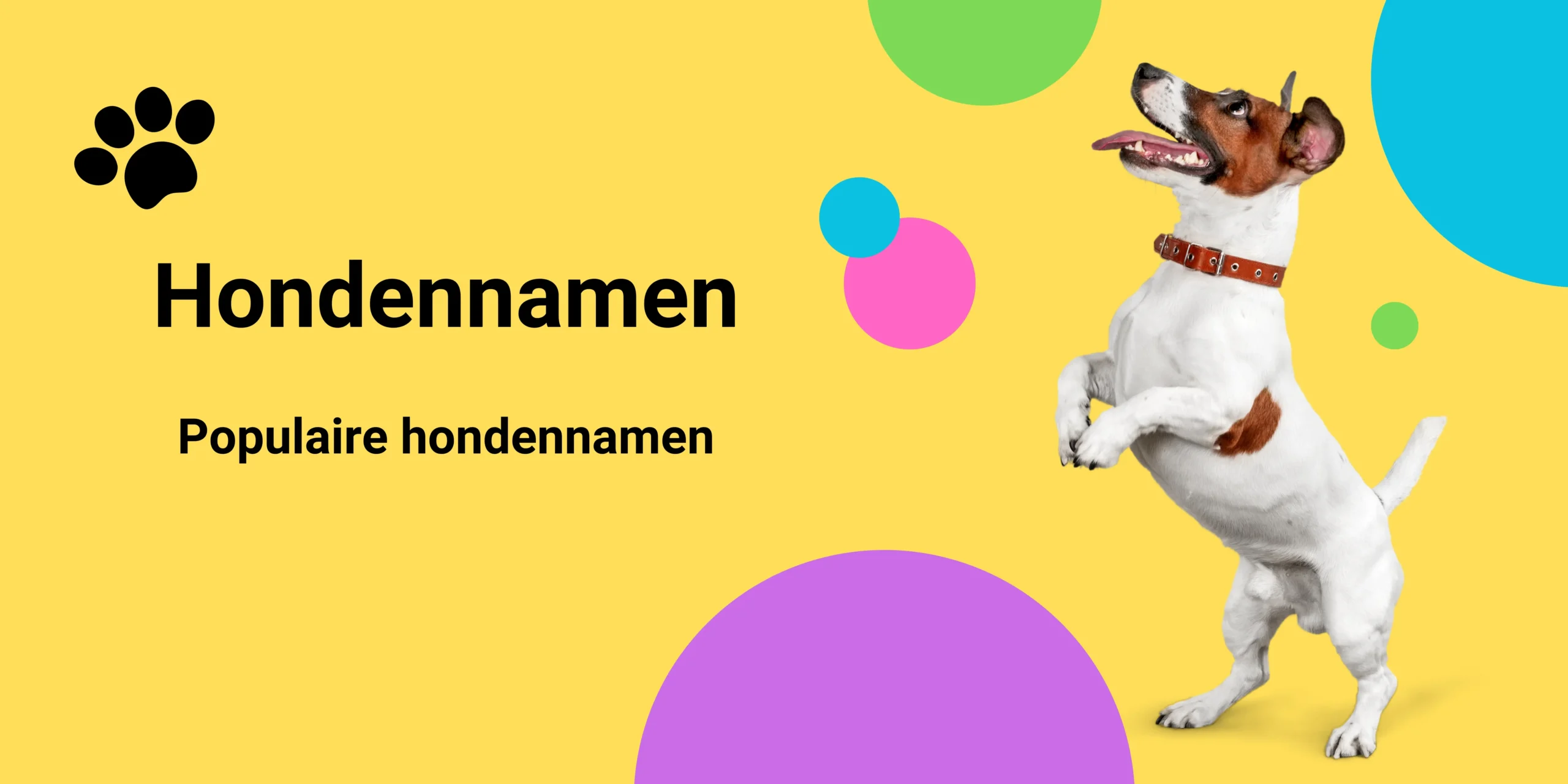 Hondennamen Populaire honden namen van dit jaar️